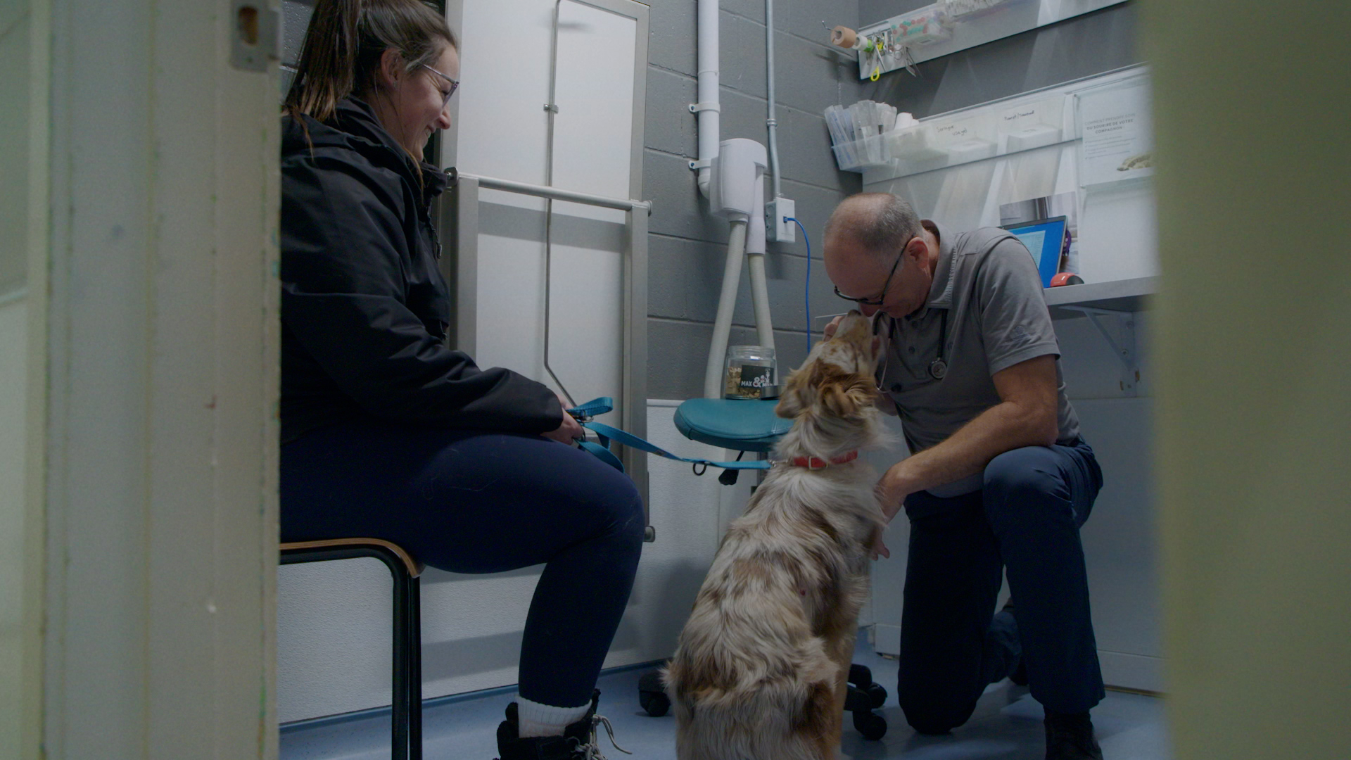 Vie de vet | URBANIA Media