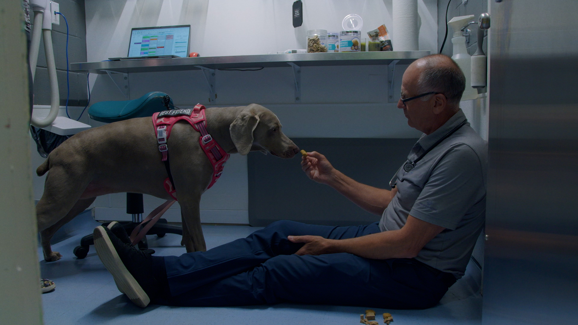 Vie de vet | URBANIA Media